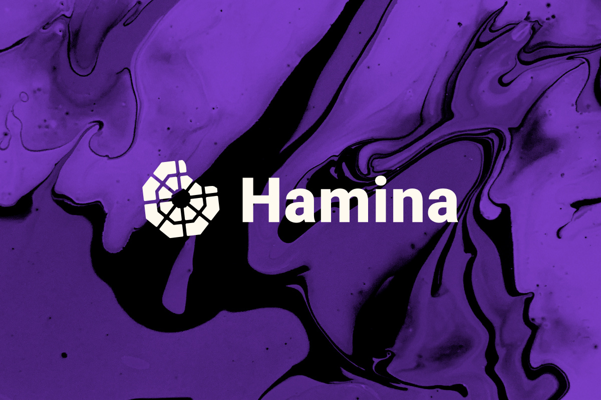 Customer Story: Hamina Wireless | Advance B2B